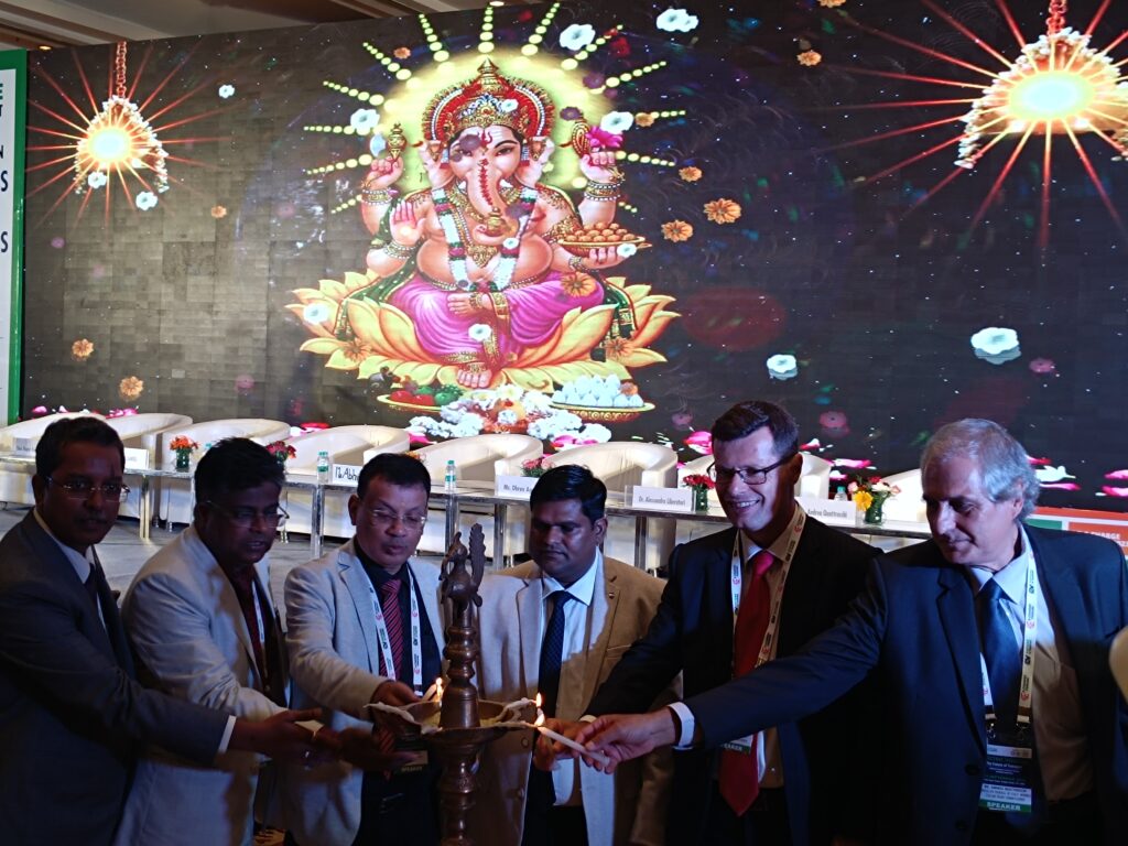 GALLERY – fevaev.com